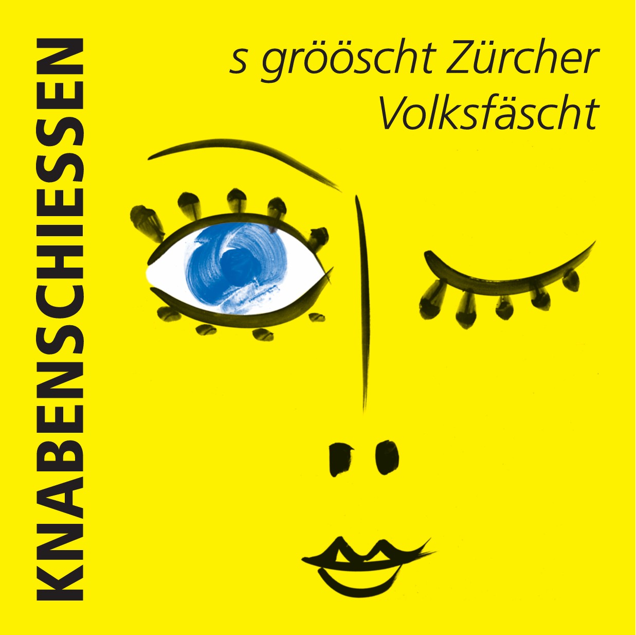 Knabenschiessen 2025 | Swiss Volunteers Plattform